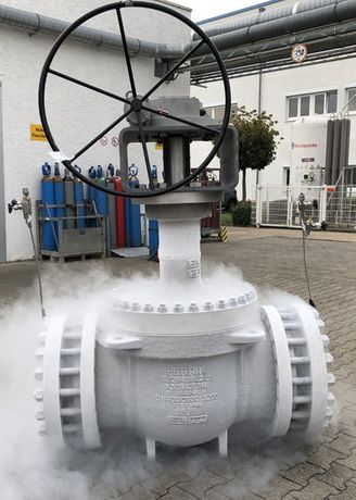 Cryogenic Valves | Service Details